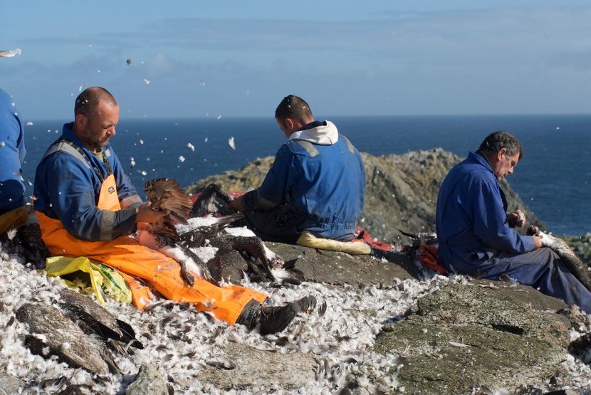 THE GUGA HUNTERS OF NESS – ethnocineca